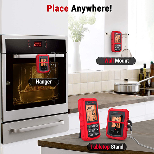 Digital Wireless Thermometer With Dual Probe - Binuns South Africa