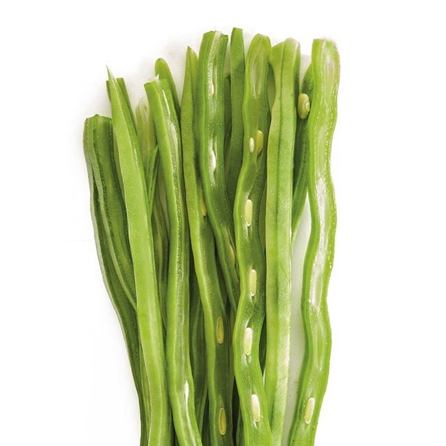 Clasica French Bean Slicer - Binuns South Africa